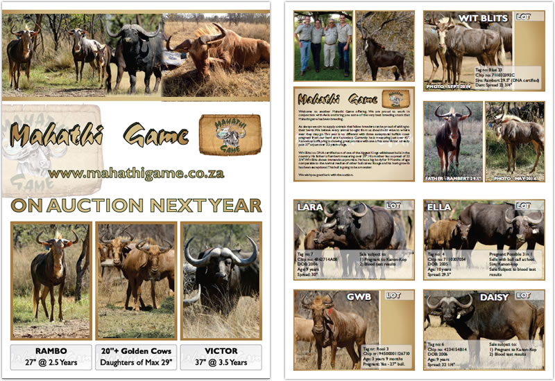 Mahathi Game - Web Design Company Pretoria and Cape Town | Since 2003 ...