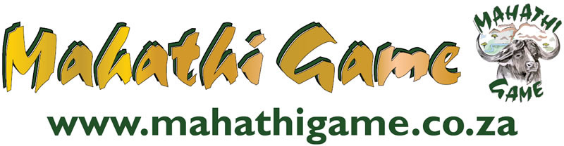 Mahathi Game - Web Design Company Pretoria and Cape Town | Since 2003 ...