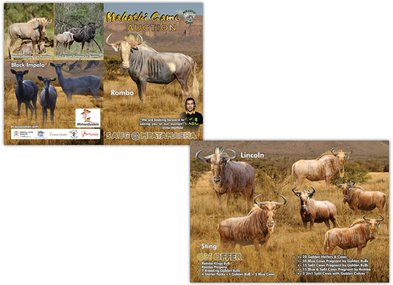 Mahathi Game - Web Design Company Pretoria and Cape Town | Since 2003 ...